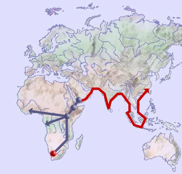 On the Path of Prehistoric Migrations – Museum Volunteers, JMM