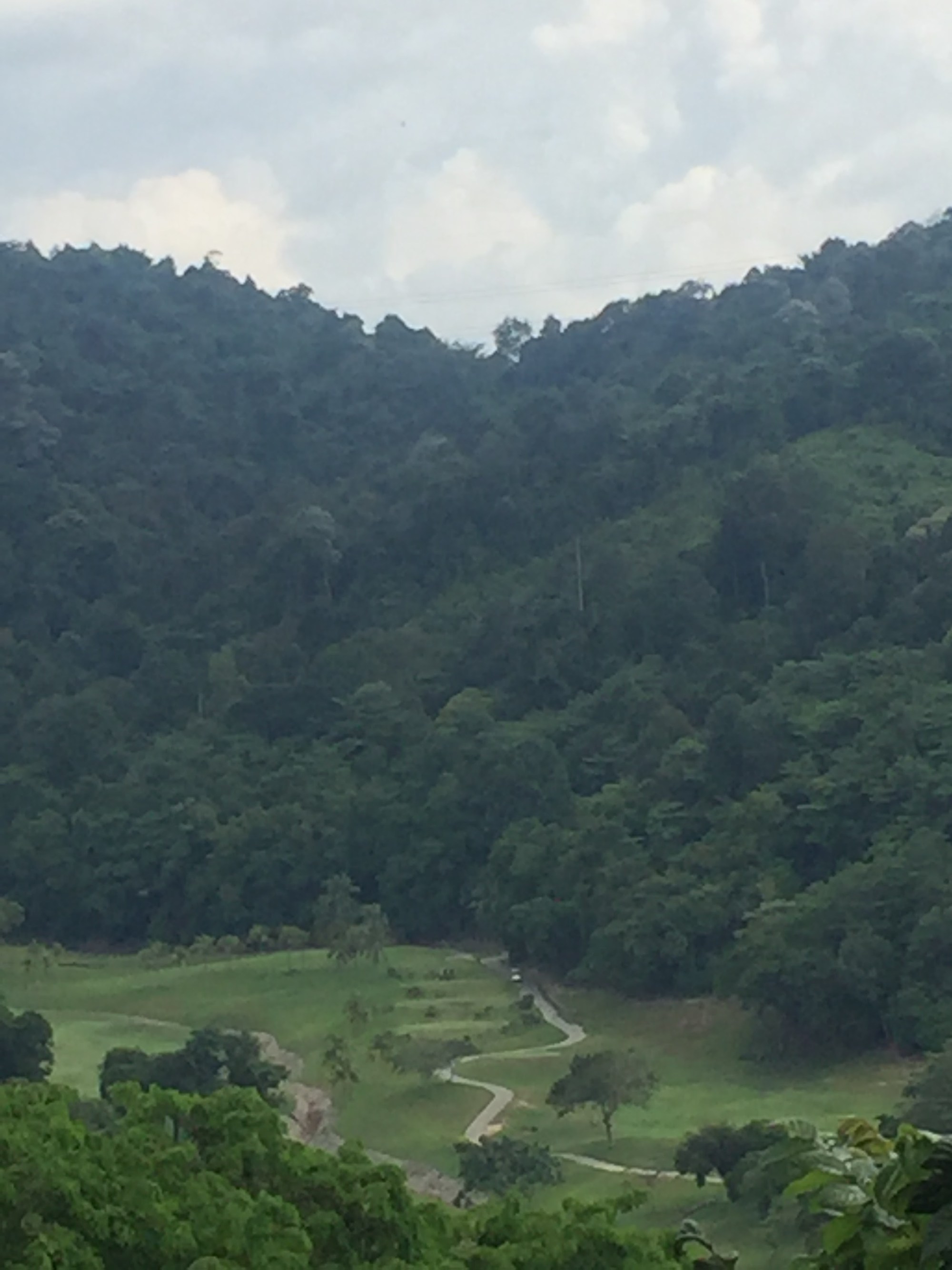 A Very Rough Guide to Dengkil – Museum Volunteers, JMM