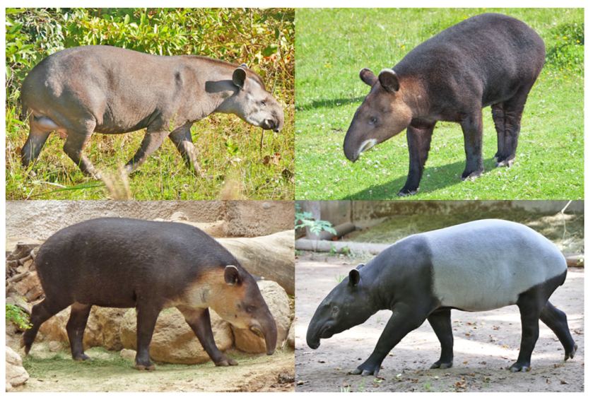 Museum Volunteers, JMM – Page 2 – Taking the Mystery out of History